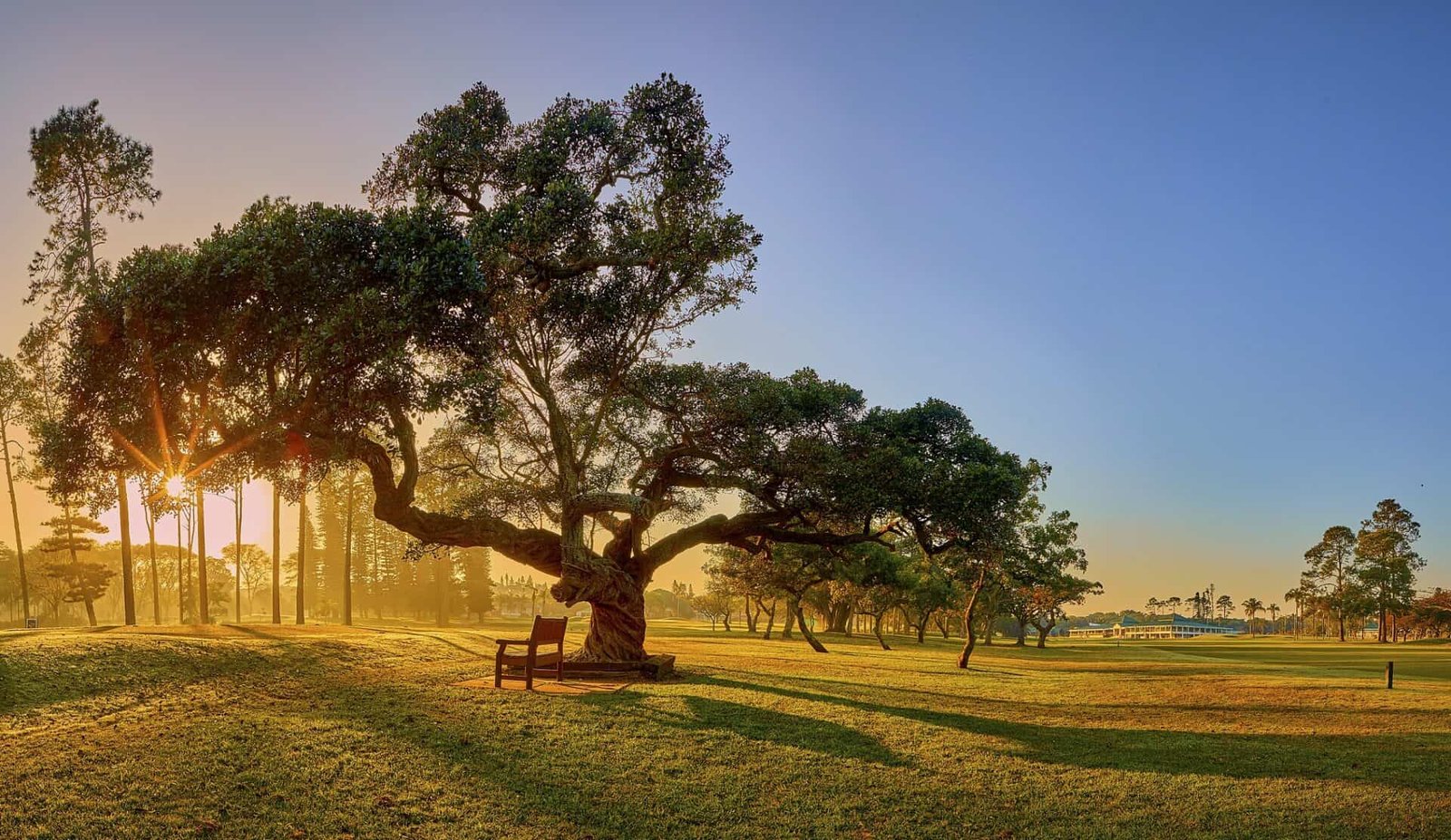 Mount Edgecombe to host GolfRSA flagship events – Golf RSA