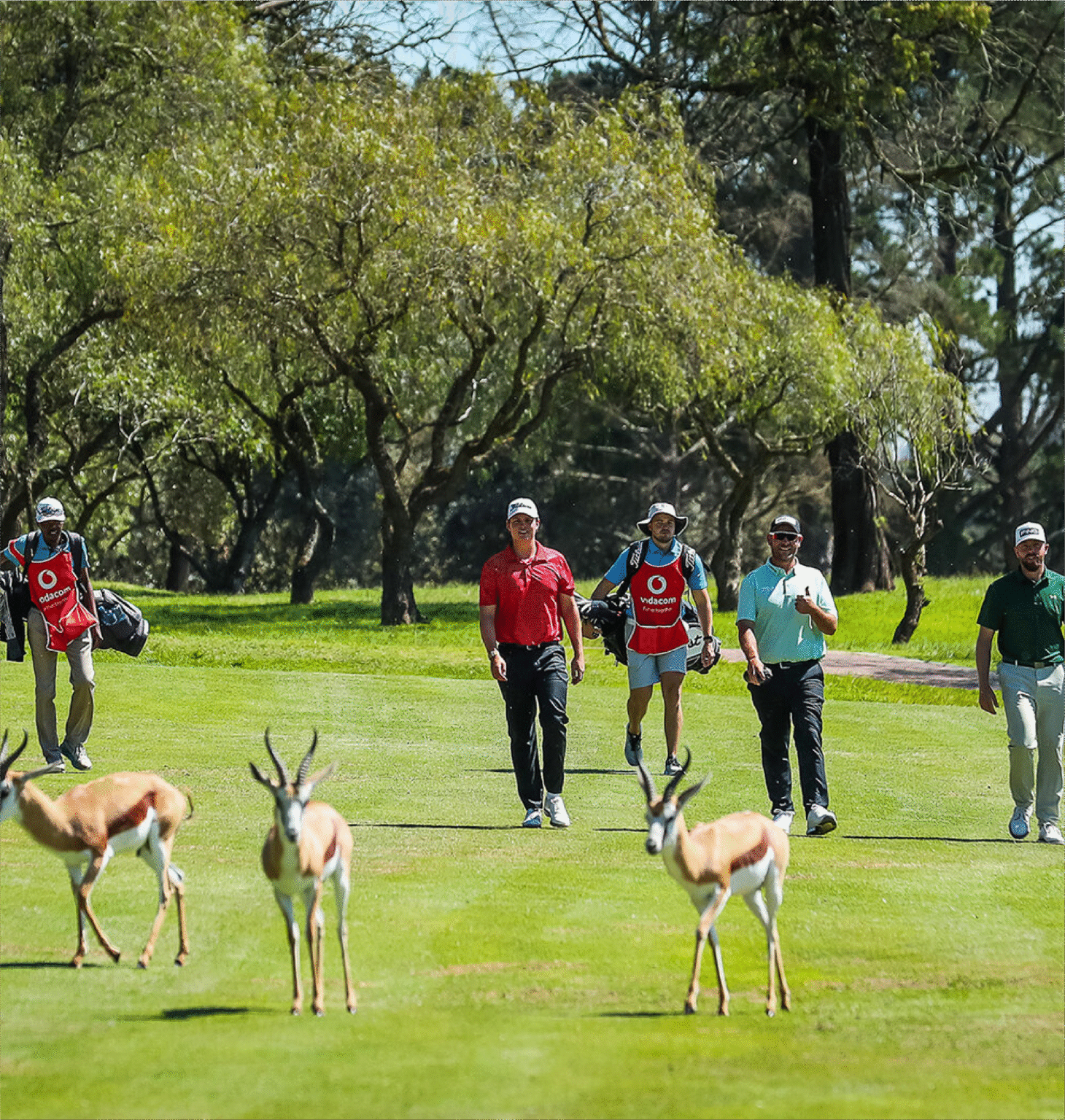 About Us – Golf RSA